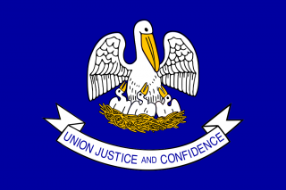 Louisiana voters reject all four constitutional amendments at the March ...