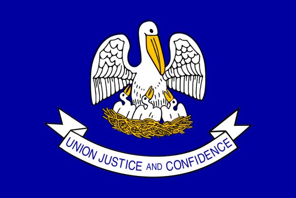 Louisiana is the eighth state in 2025 to pass a bill prohibiting ...