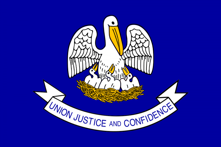 Louisiana is the eighth state in 2025 to pass a bill prohibiting ...
