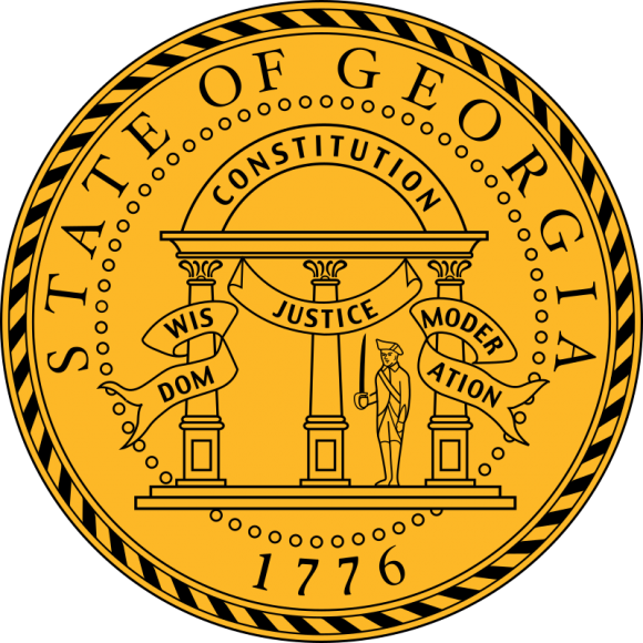 Georgia voters will decide on two property tax exemption measures and ...