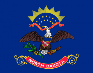North Dakota voters to decide single-subject requirement for future ...