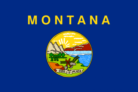 Montana has the highest number of contested state legislative primaries ...
